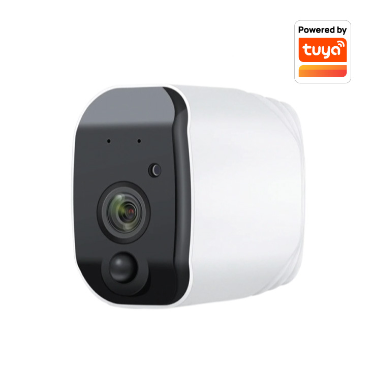 IP DOM kamera 5.0MP POE